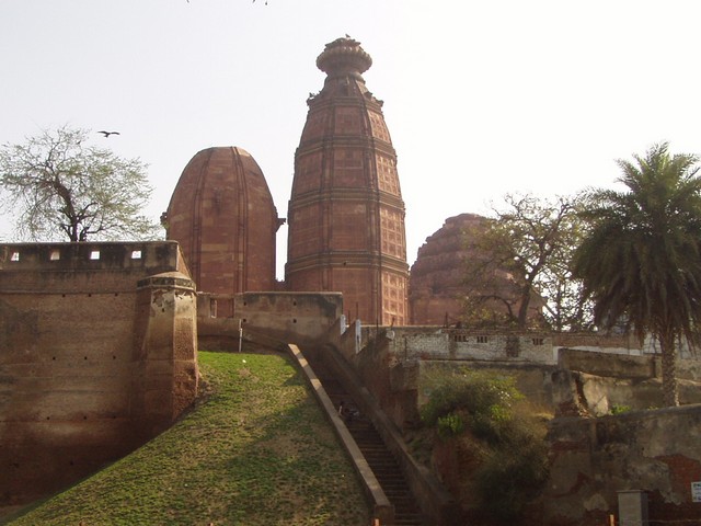 Ananda Krishna Van: Photo Galleries